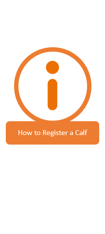How to register a Calf in FarmOps – Help Center Home